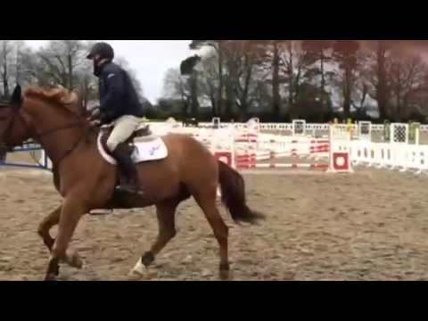 6 yr old emerald stallion - YouTube