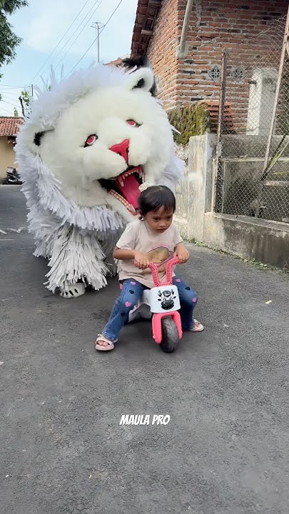 Alika sempat digigit can macanan dan berhasil kabur - YouTube