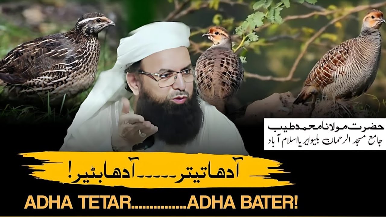 ADHA TETAR ADHA BATEER|Moalan Muhammad Tayyab - YouTube