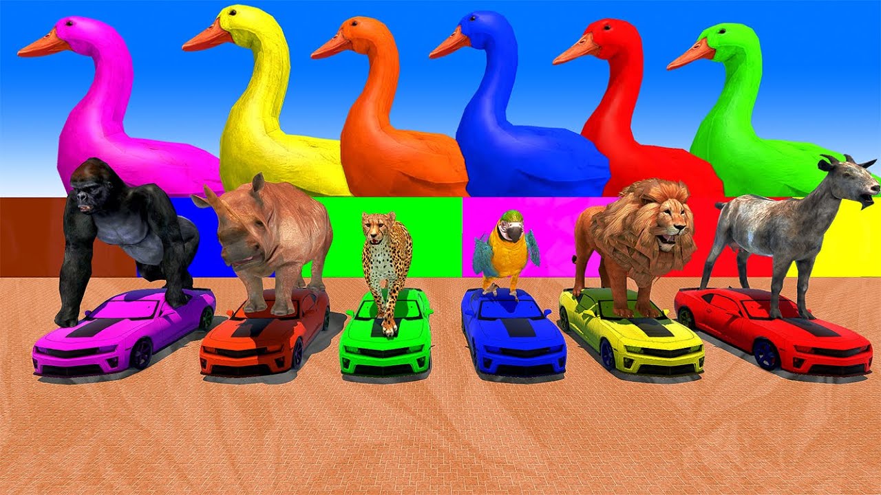 Learn Colors With Animals Cow, Tiger, Lion, Gorilla, Elephant, Shark ...