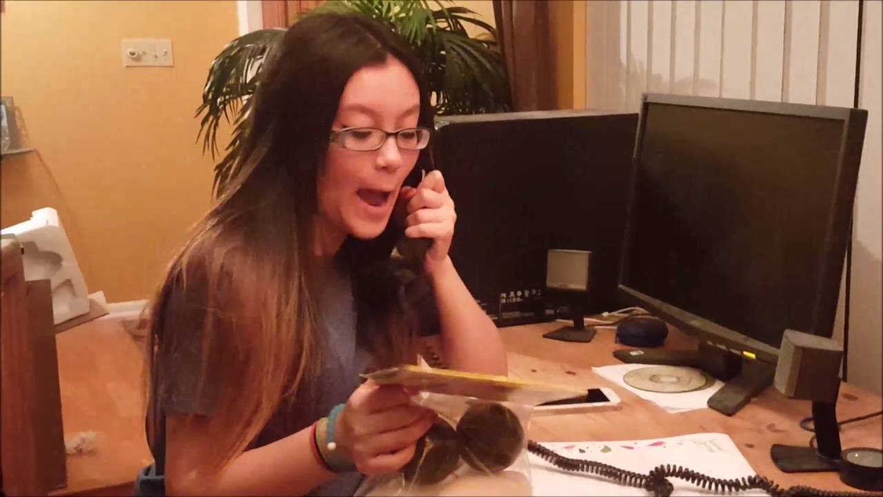 Dealing with Telemarketers - Funny Video! - YouTube
