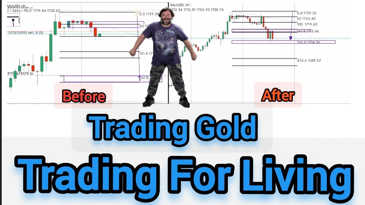 trading for living trading gold hanya menggunakan satu strategi trading ...