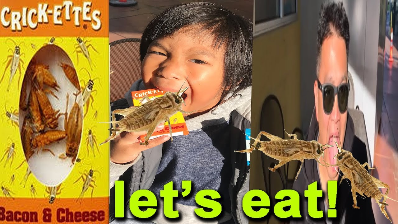 EATING BUGS CHALLENGE! SUPER GROSS! Family Fun Activity - YouTube