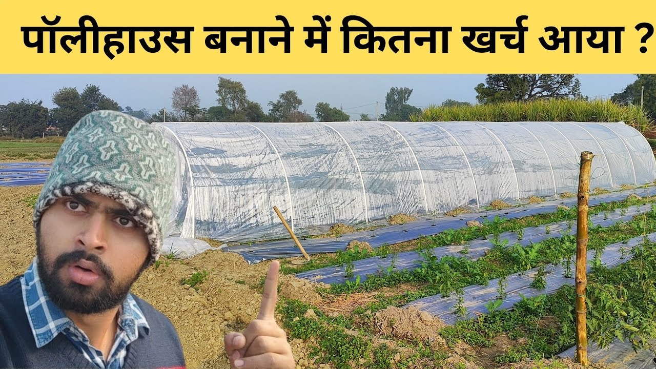 Small polyhouse banane me kitna kharcha hua polyhouse at home. Step by ...