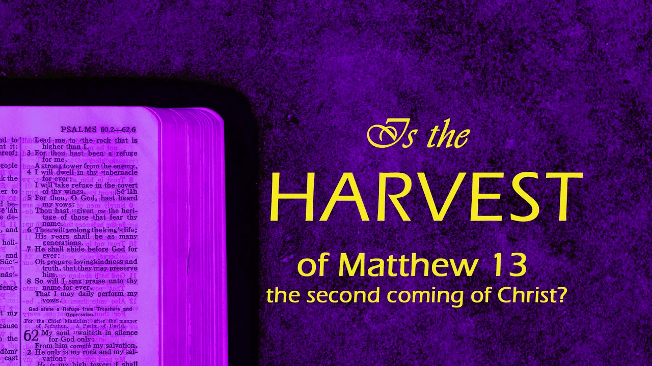 The judgment and the harvest of matthew 13 - YouTube
