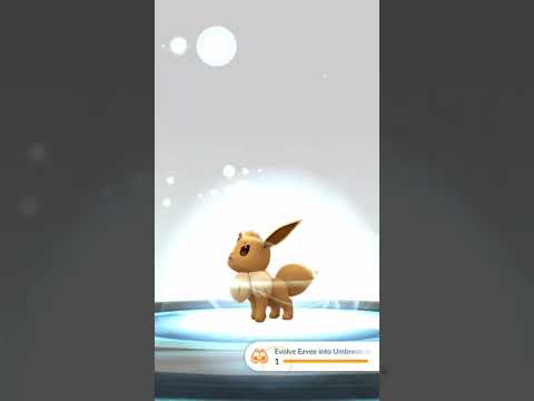 Evolve at night after 10km walk Eevee to Umbreon Pokémon GO - YouTube