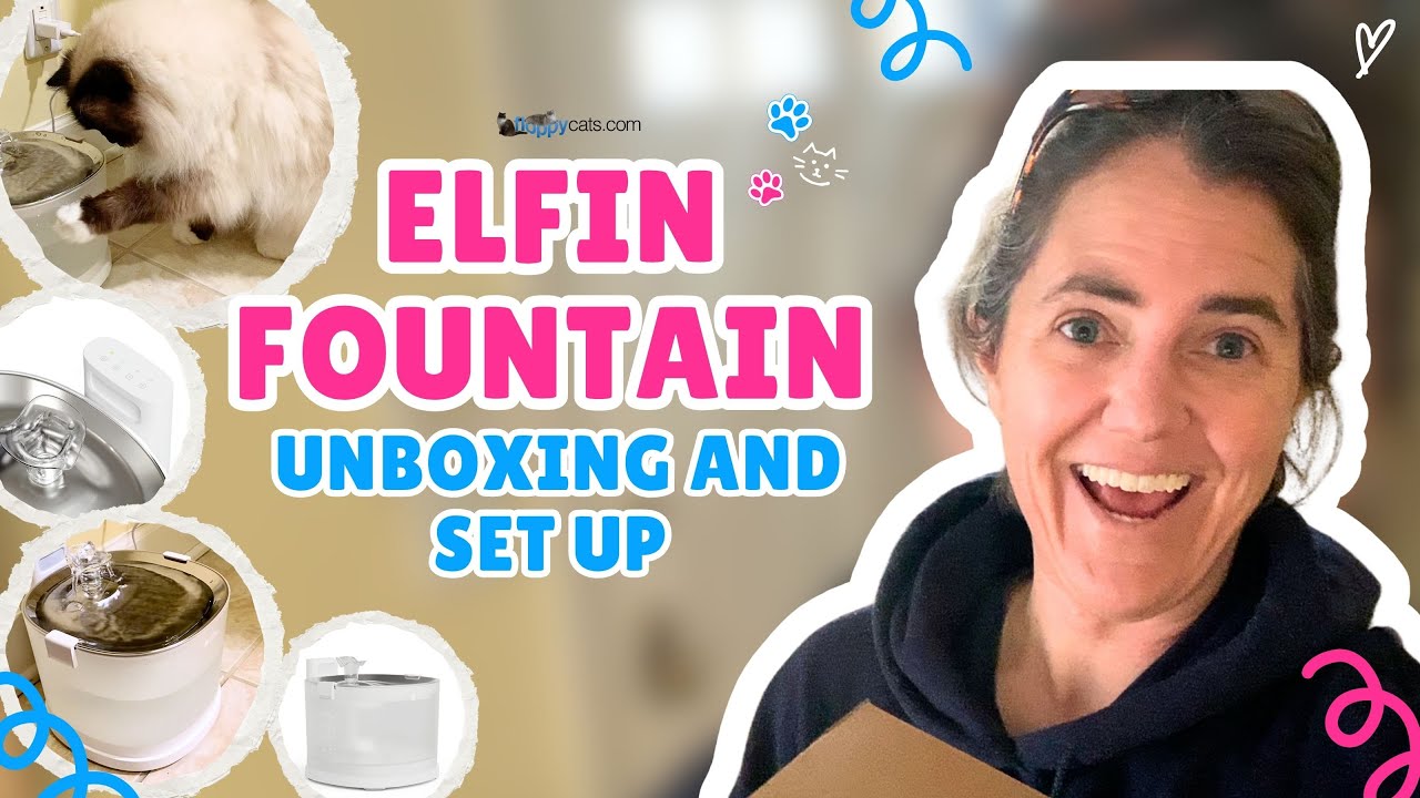Elfin Pet Water Fountain Unboxing & Set Up! 💦 Fresh Water For Your Pets ...