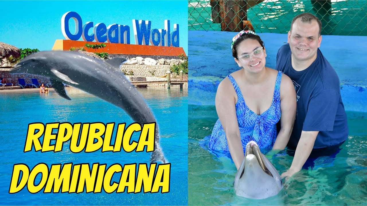 OCEAN WORLD ADVENTURE EN LA REPUBLICA DOMINICANA!! 🌊 🐬 - YouTube