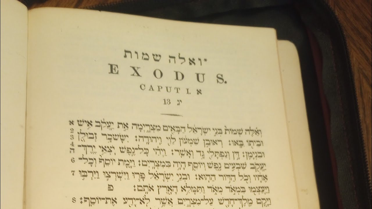 Exodus Chapter 1 The Midwives that Saved the World - YouTube