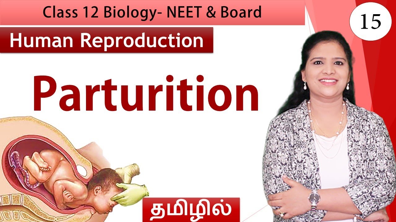 Parturition | Human Reproduction | Class 12 Biology (தமிழ்) - YouTube