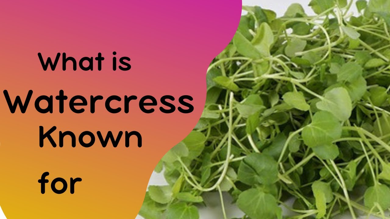 watercress health benefits in english/ benefits of eating watercress ...