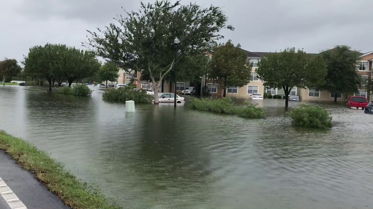 Professional ditch swimming - YouTube