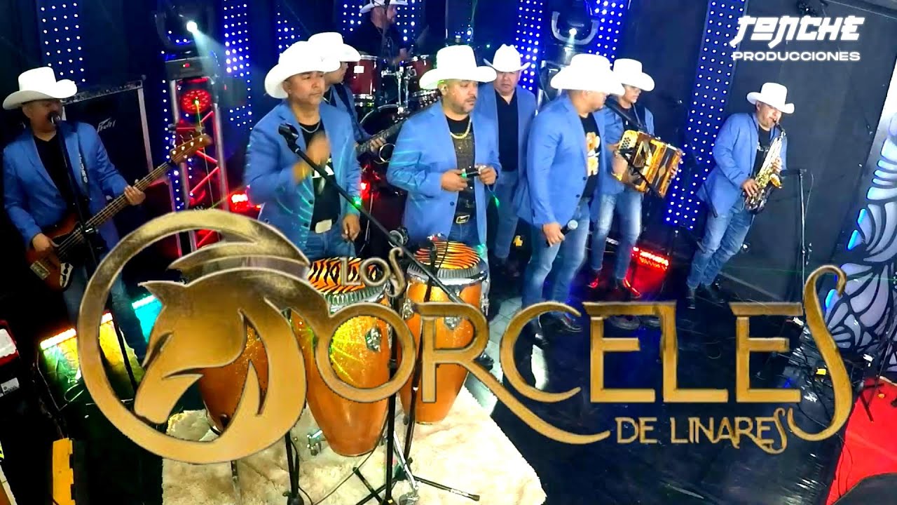 LOS CORCELES DE LINARES (Ven Porque Te Necesito, Esta Llorando Mi ...