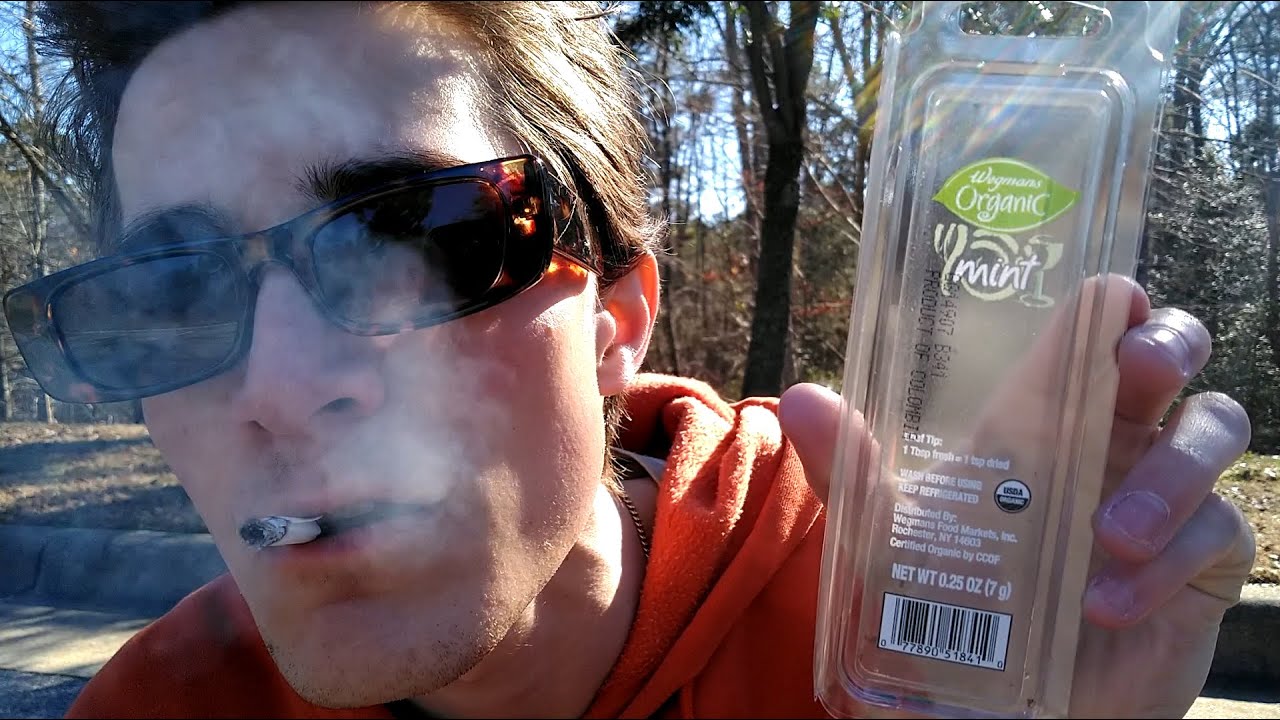 Smoking a Mint Cigarette for the First Time - YouTube