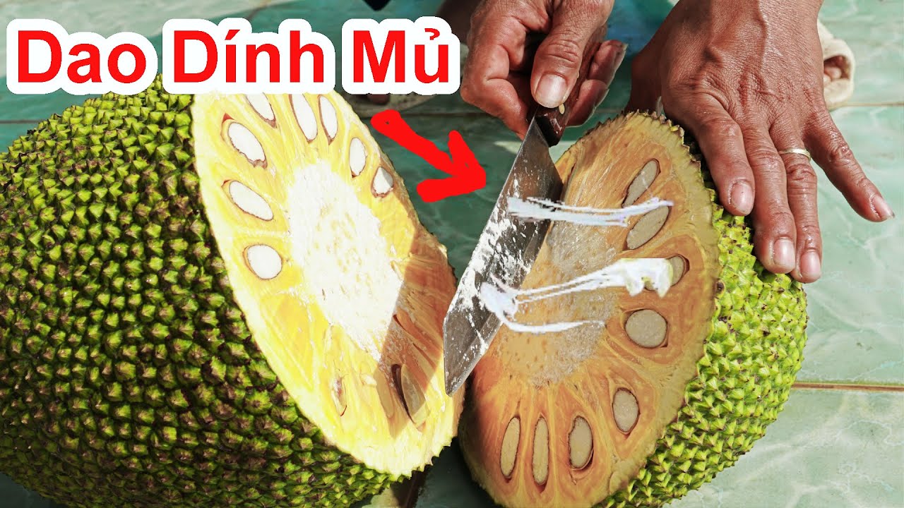 Cách BỔ Mít Dao Không Bị Dính Mủ Cực Hay . Meo Cắt Mít Không Dính Mủ ...