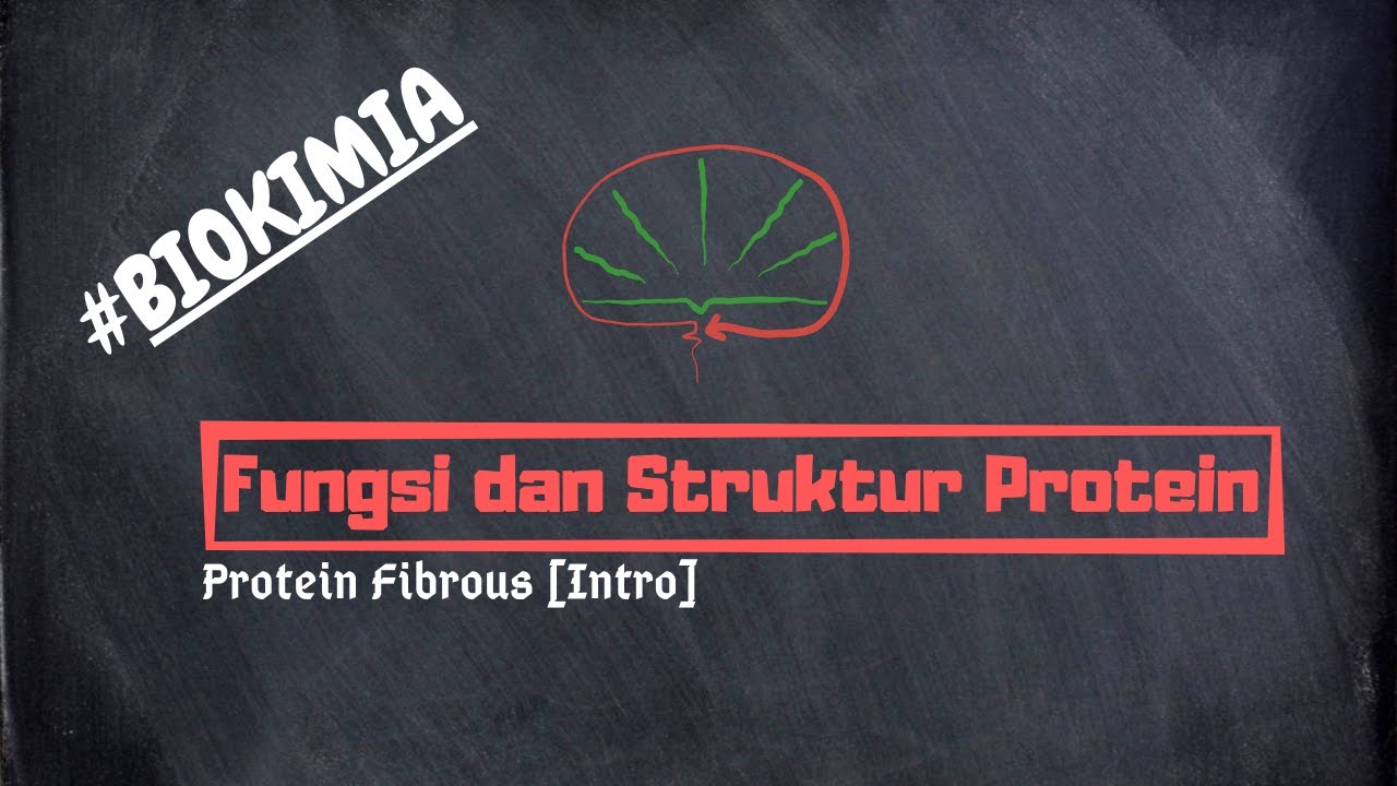 Protein Fibrous [Intro] | Fungsi dan Struktur Protein - YouTube