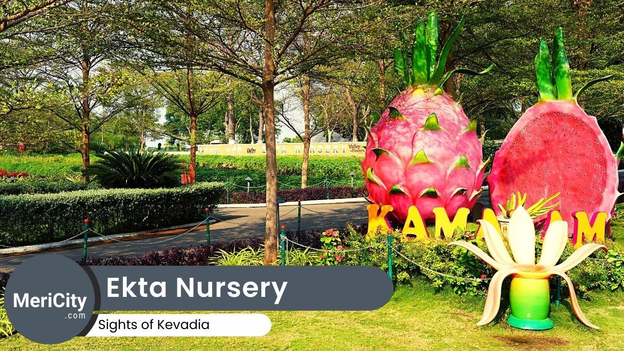 Ekta Nursery Statue of Unity | Ekta Tribal Cafe | Awareness about Eco ...