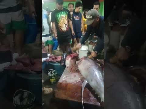 pandawan fish port malalaking tuna - YouTube