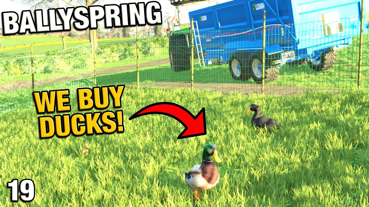 WE GET SOME DUCKS ON THE FARM BallySpring FS22 Ep 19 - YouTube