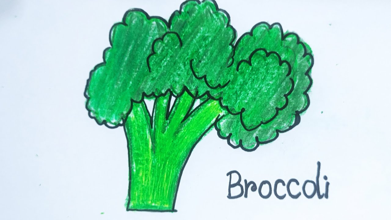 How to draw Broccoli - YouTube