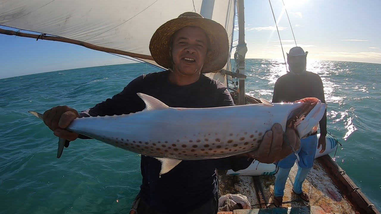 IMPRESSIONANTE A LUTA DIÁRIA DO PESCADOR ARTESANAL, VEJA QUE PEIXÃO 🦞🐟🦞 ...