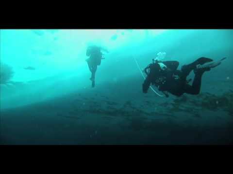 Diving in the Arctic with Arctic Kingdom - YouTube