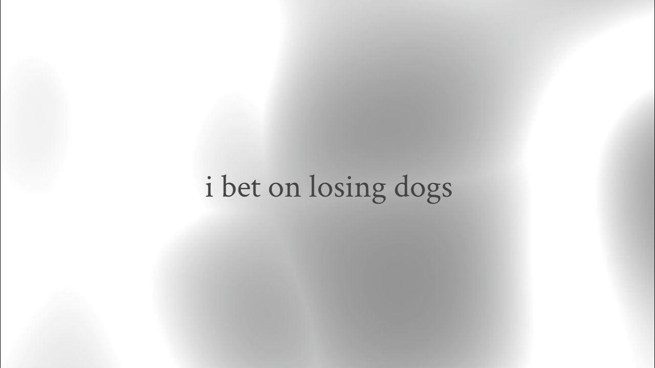 mitski - i bet on losing dogs - YouTube