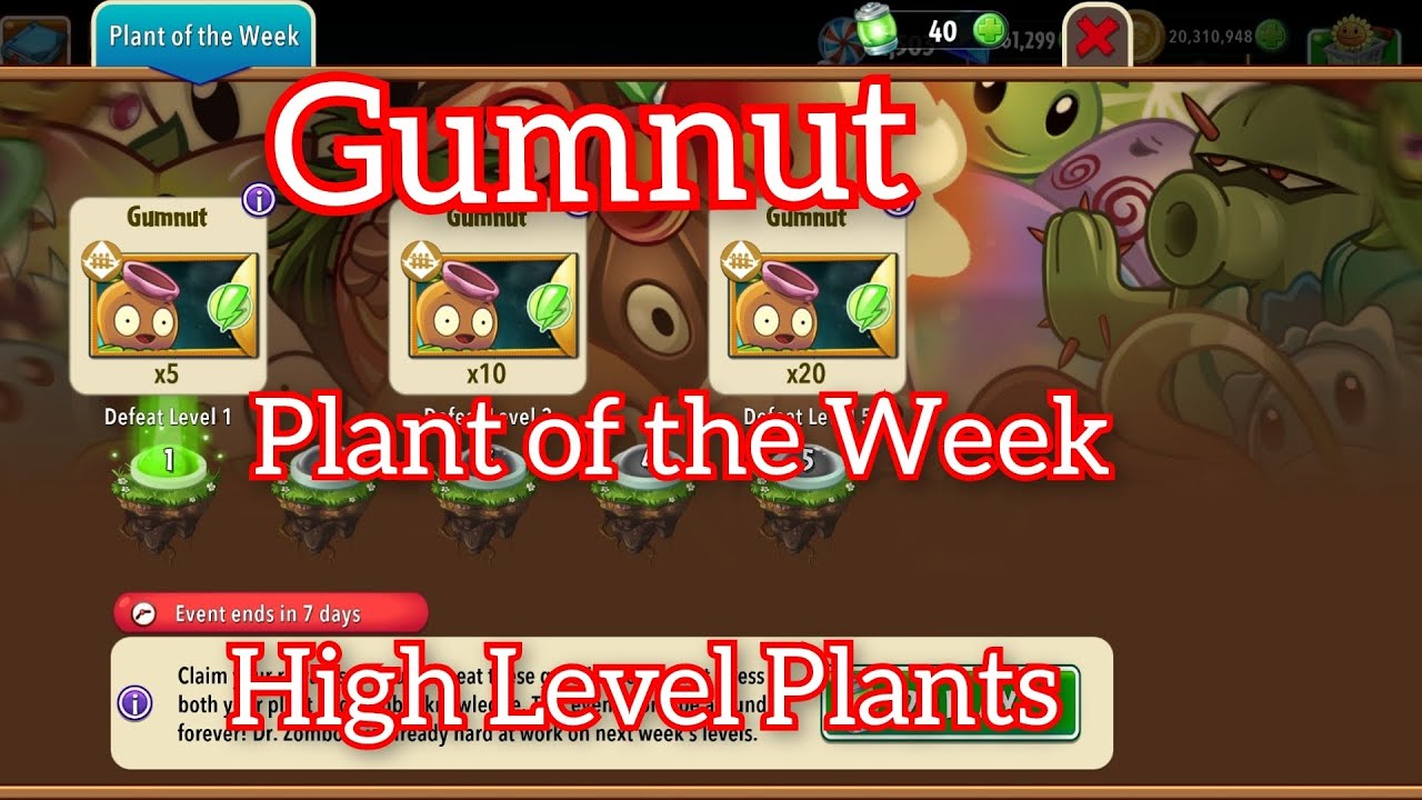 Plant of the Week,Gumnut ,High Level Plants ,Plants vs Zombies 2 - YouTube