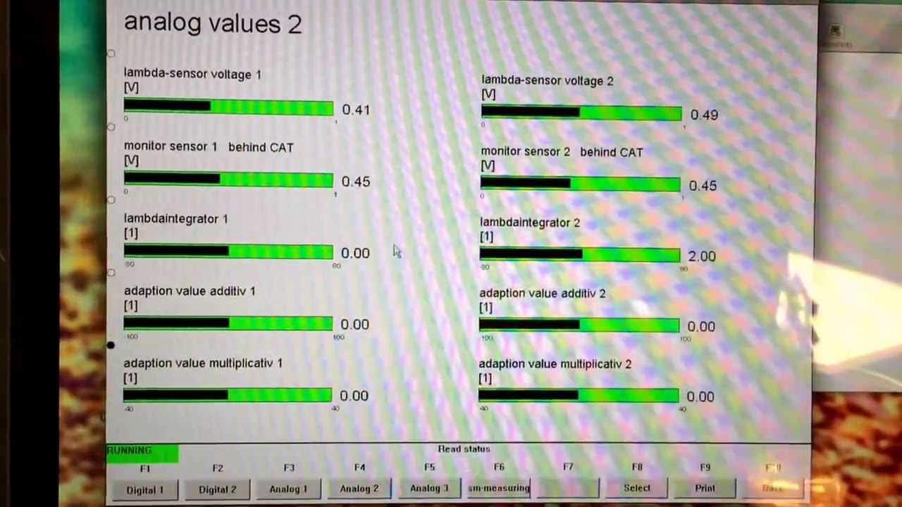 BMW E39 540iA INPA analog values 2 - YouTube
