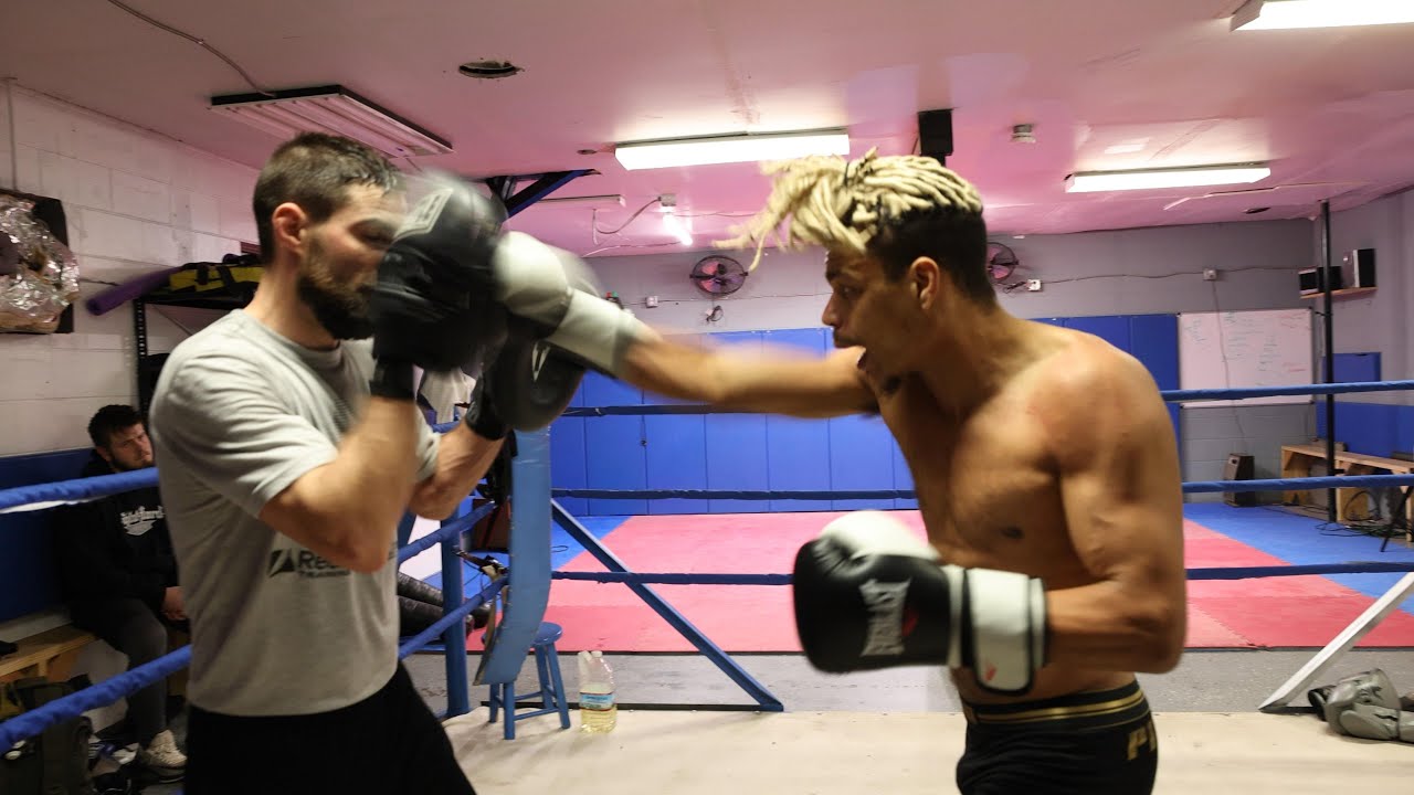 Pit Bull - MMA Training - YouTube