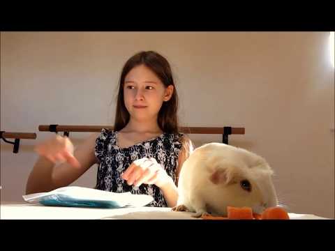 I got some new leotards my new collection