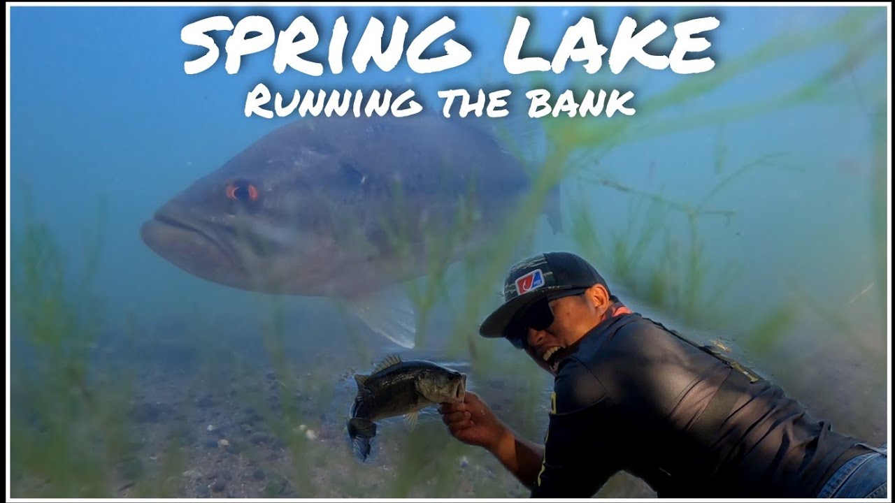Pre-Spawn Bass Fishing Spring Lake [ I Caught A Largemouth With My Bare ...