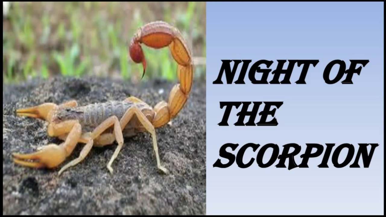 Night Of The Scorpion : Poem For 10th SSC English by Paridhi Gaurav ...