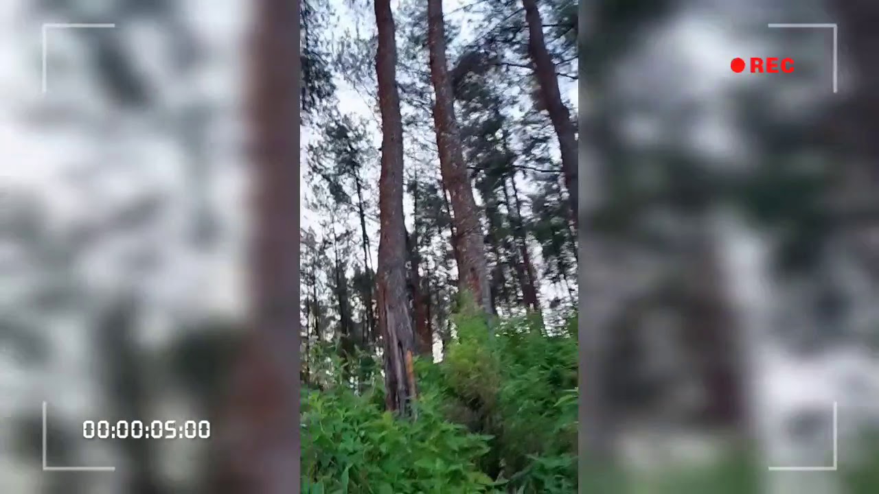 GUNUNG PRINGGITAN SLAHUNG PONOROGO - YouTube