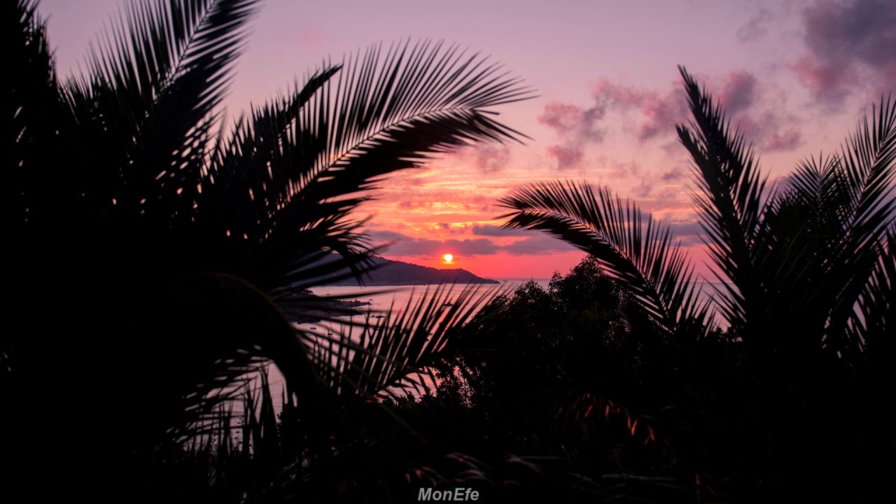 Caloncho - Optimista (Letra en español) - YouTube