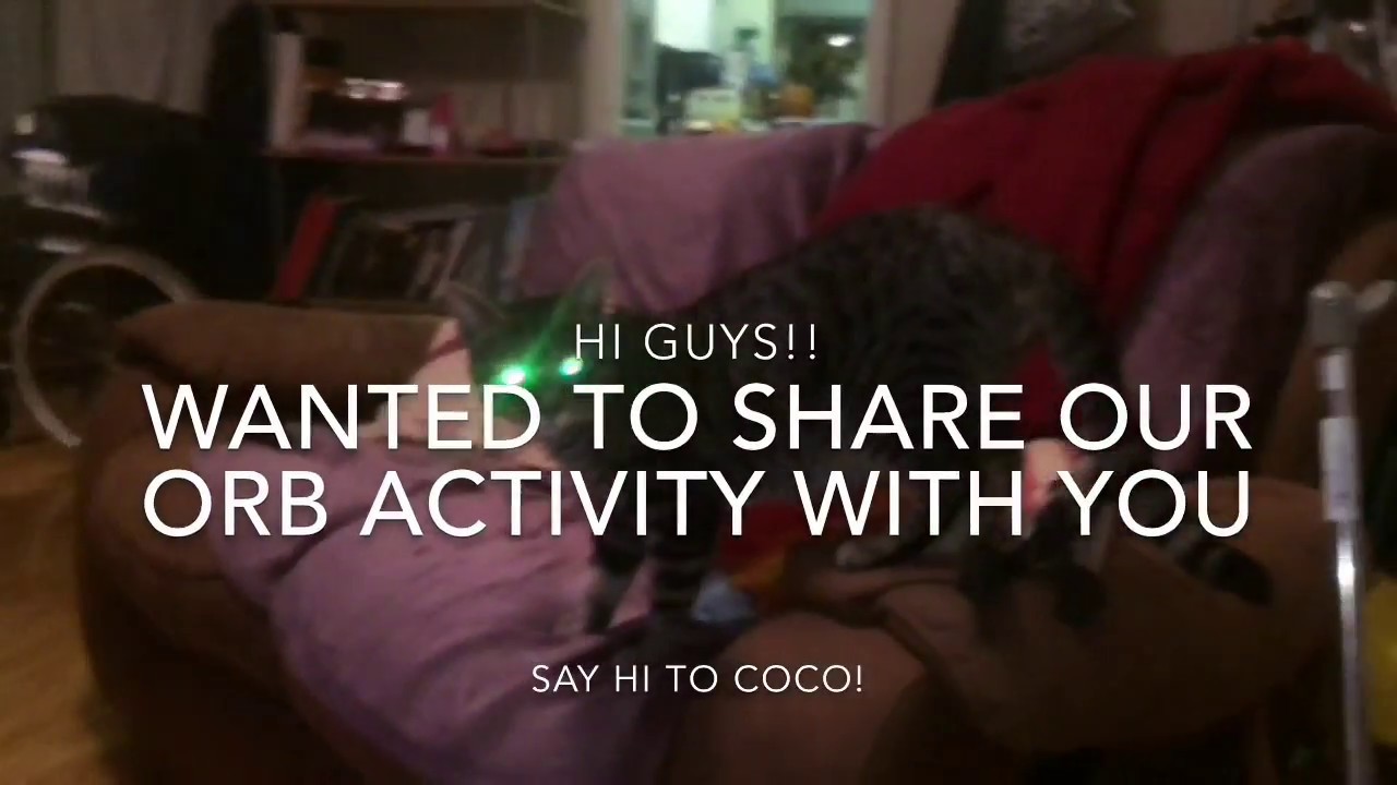 Coco playing with spirit cats? ORBS! - YouTube