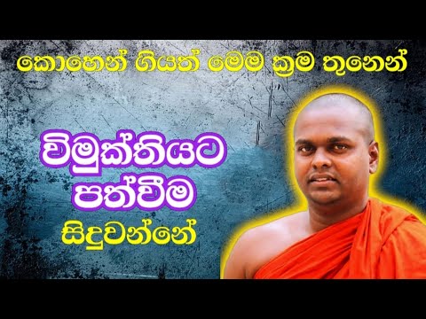 විමුක්තිය හෙවත් නිර්වාණයට පත්වෙන ක්‍රම තුන මෙයයි | #LIFEALERT # ...