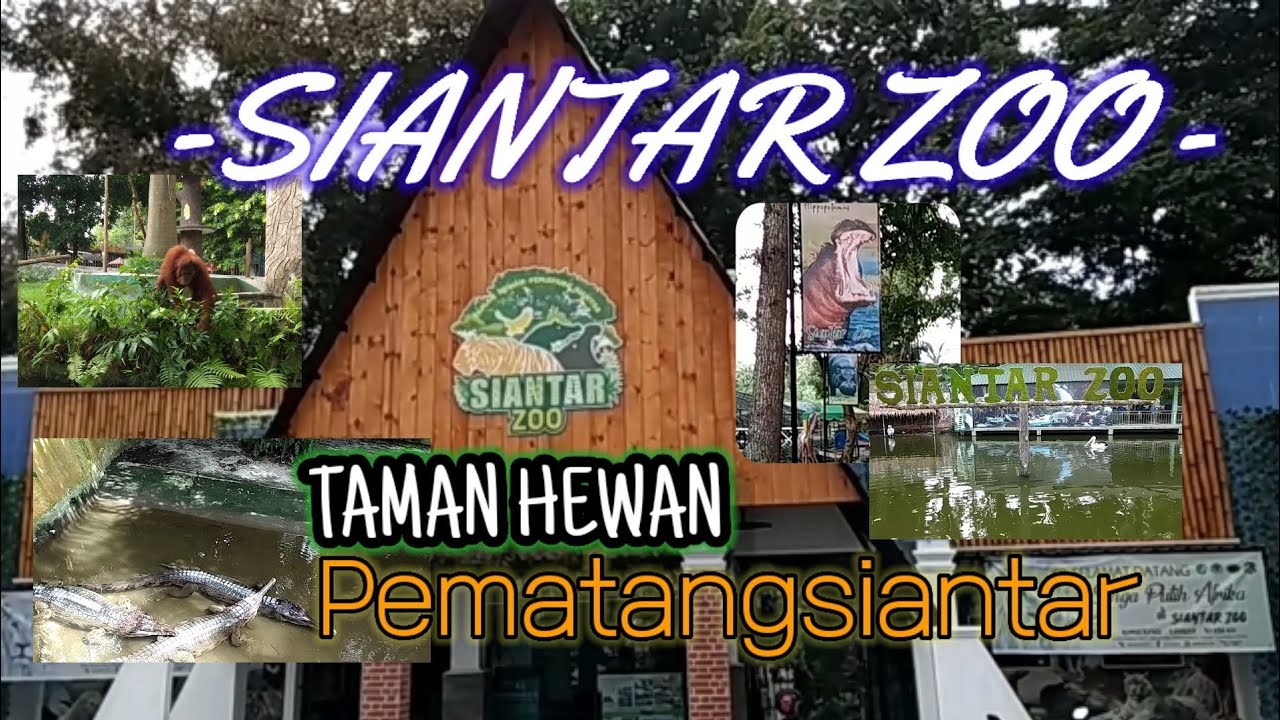 Siantar zoo - kota Pematangsiantar - YouTube