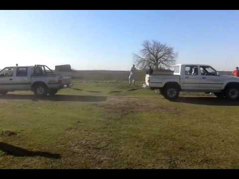 Isuzu vs toyota hilux