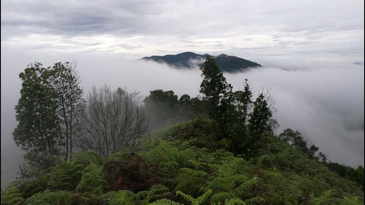 (SA#6) Exploring Bukit Senaling, Kuala Pilah, Negeri Sembilan by SkyAnt ...