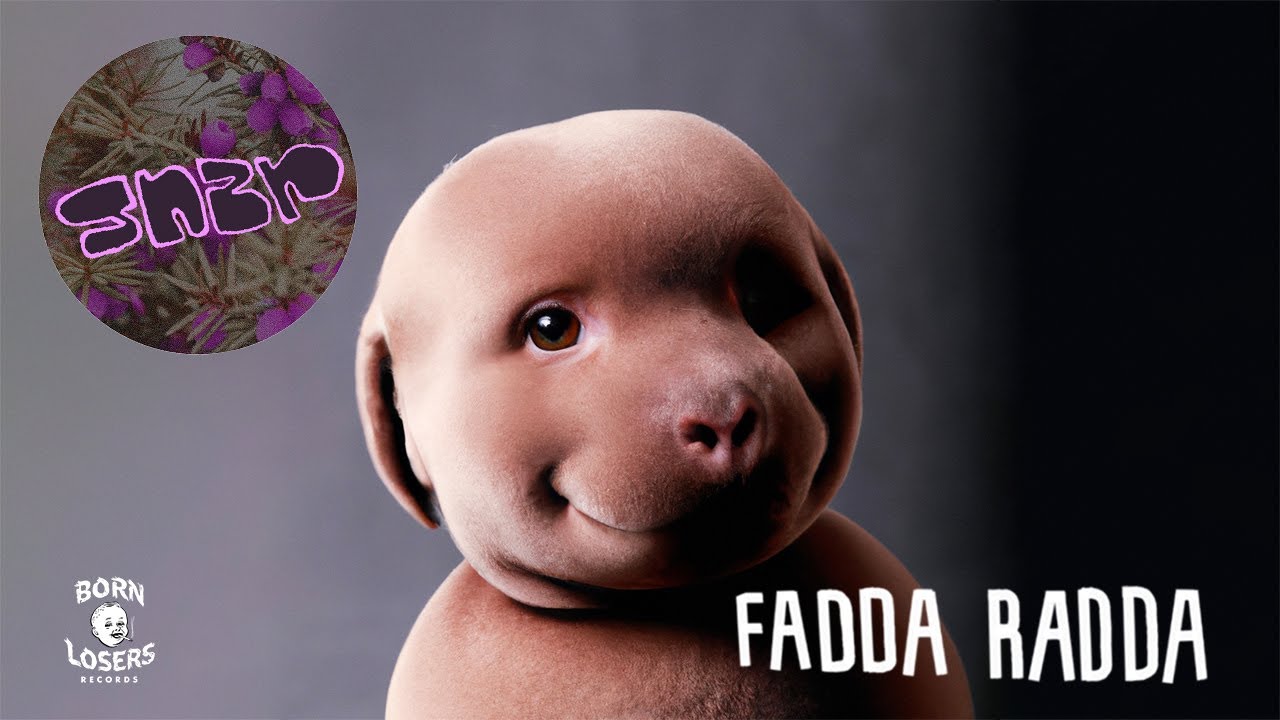 Snoozer - Fadda Radda (Official Video) - YouTube