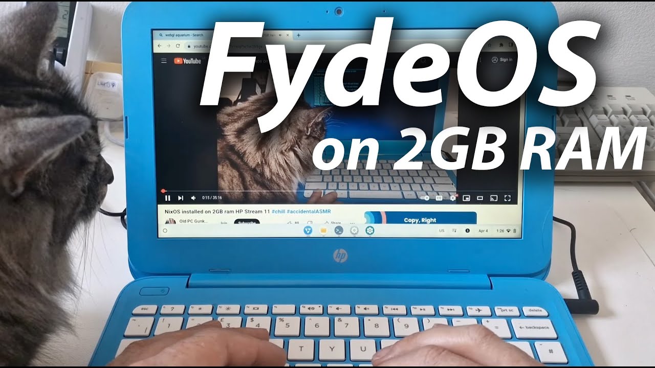 FydeOS installed on a 2GB HP Stream 11 (Linux subsystem, Google Play ...