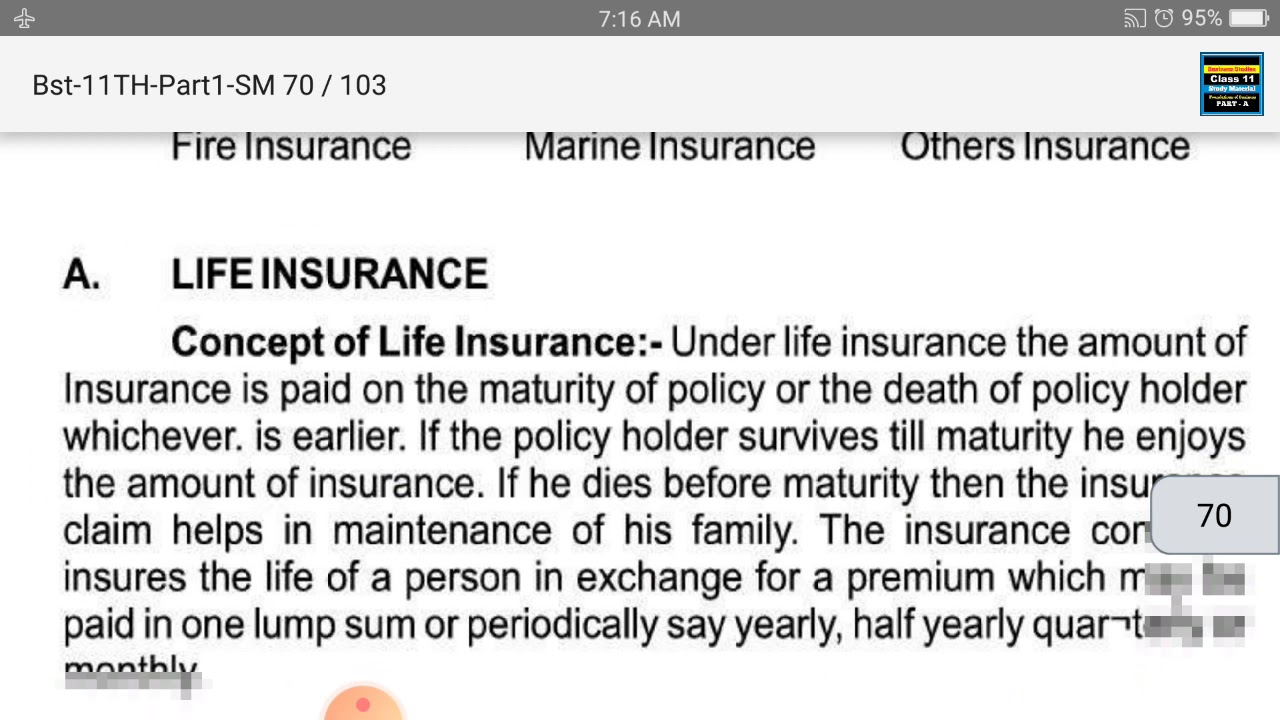 Class 11 B ST Types of Insurance - YouTube