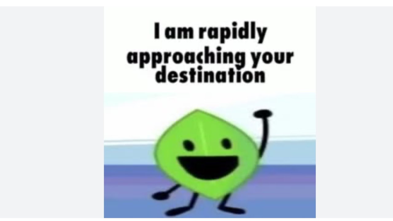 Leafy running from every other contestant in BFDI meme extended - YouTube