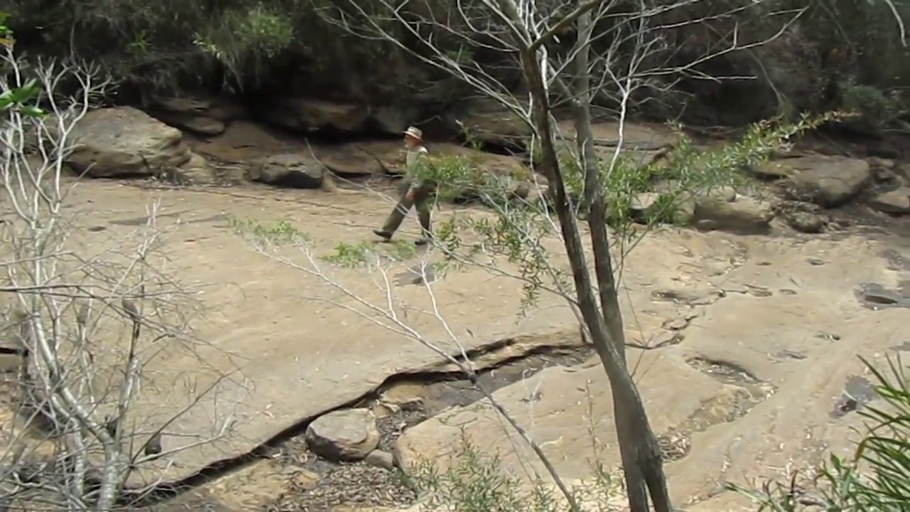 A once-permanent pool of water in the Waratah Rivulet is drained dry by ...