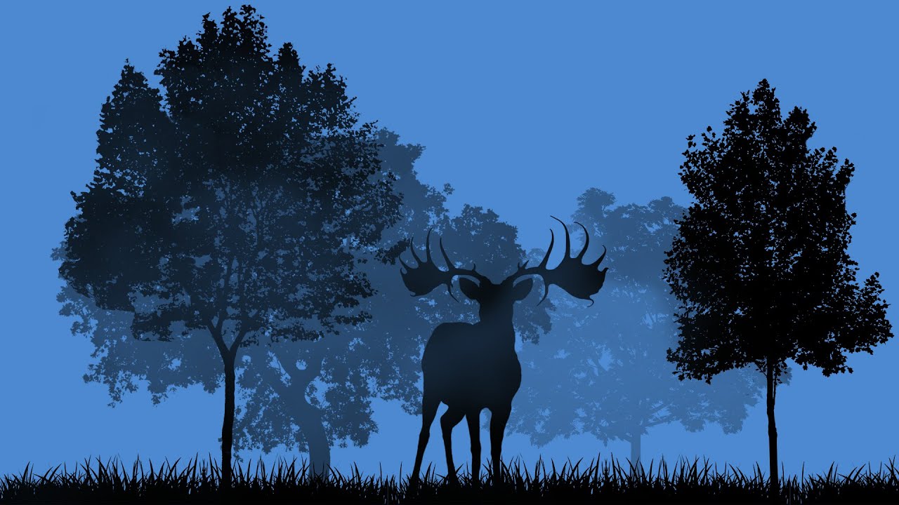 Silhouette Animation Workflow - YouTube