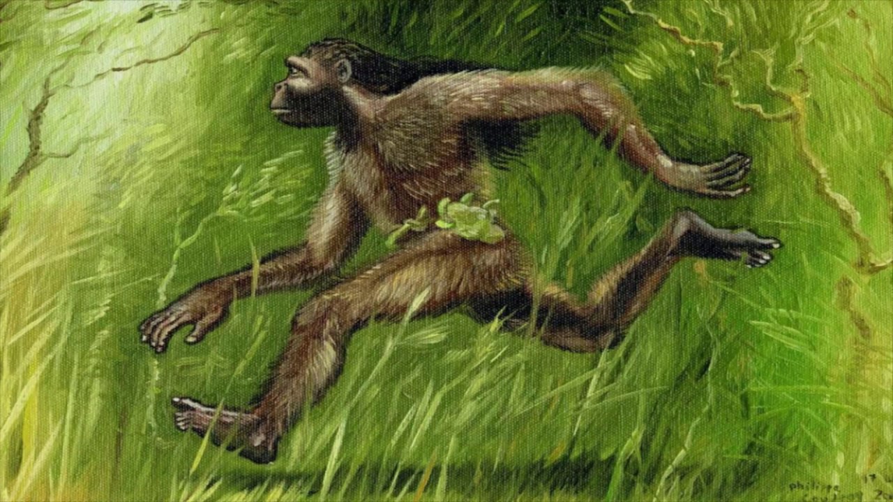 Crypto Critters #1: The Agogwe - YouTube