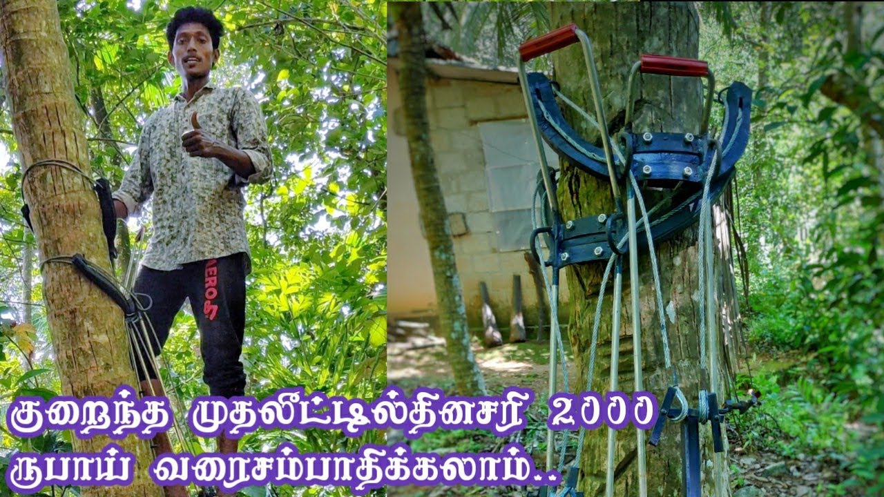 How to climb tree with Tree climbing machine | மரம் ஏறும் இயந்திரம் ...