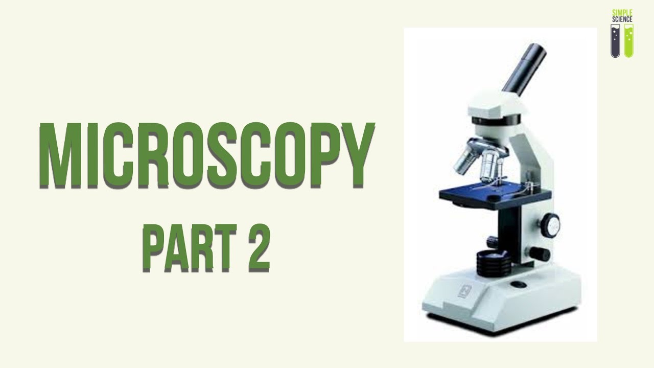 A-Level Biology Revision - Part 1.2 - Microscopy - YouTube