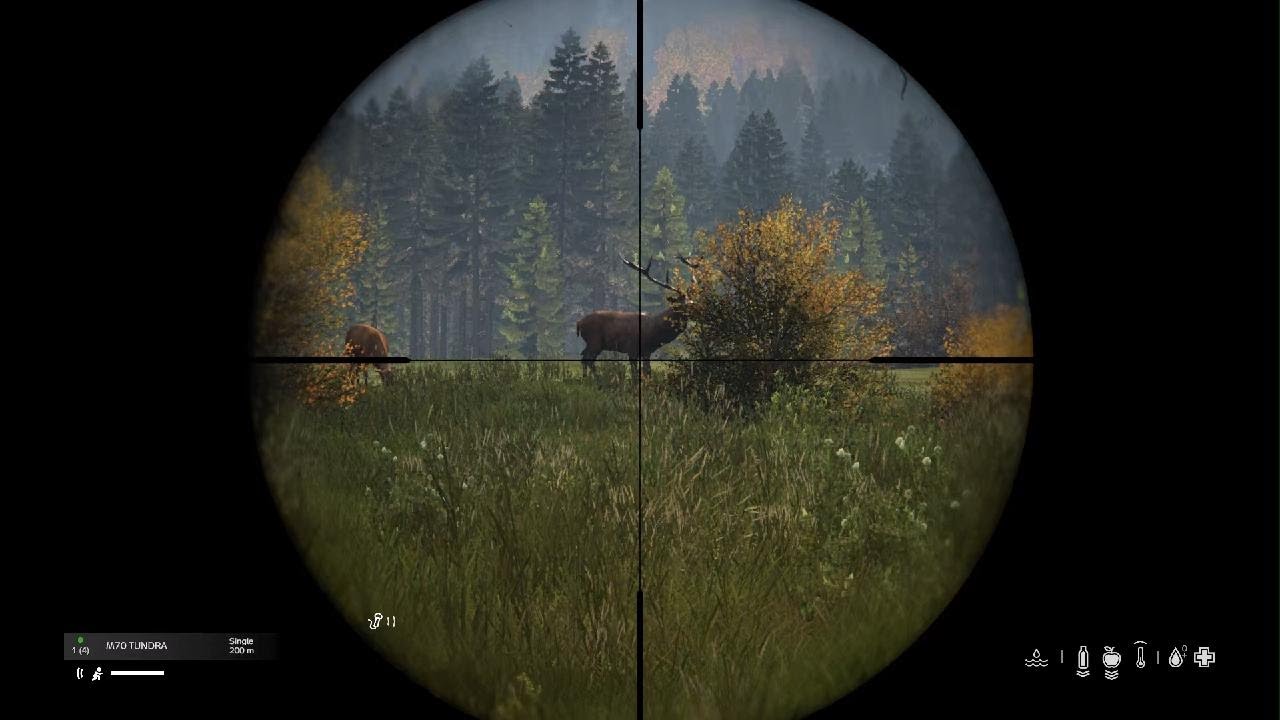 DayZ Stag Hunt - YouTube